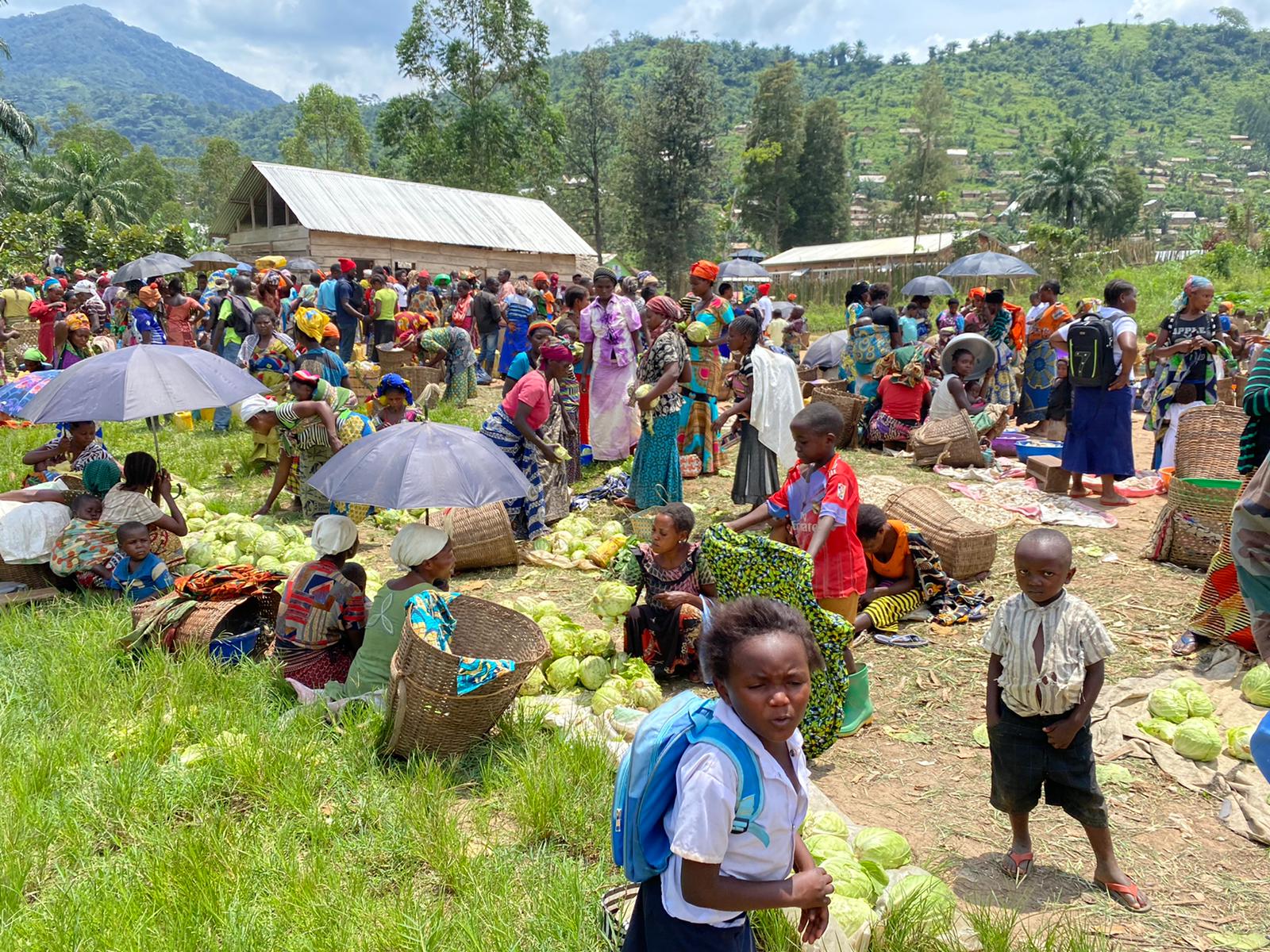 Nord-Kivu: Crise éducative à Walikale, un notable interpelle les ...